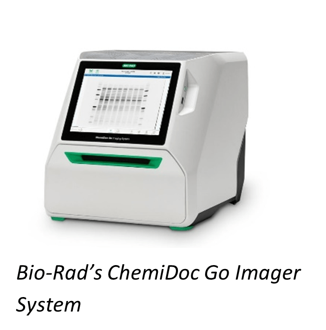 Business of BioTechniques 2024 - BioTechniques