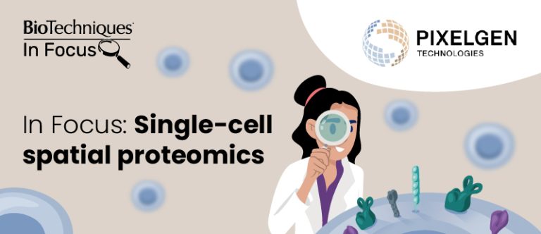 Single-cell spatial proteomics - BioTechniques Single-cell spatial proteomics - BioTechniques