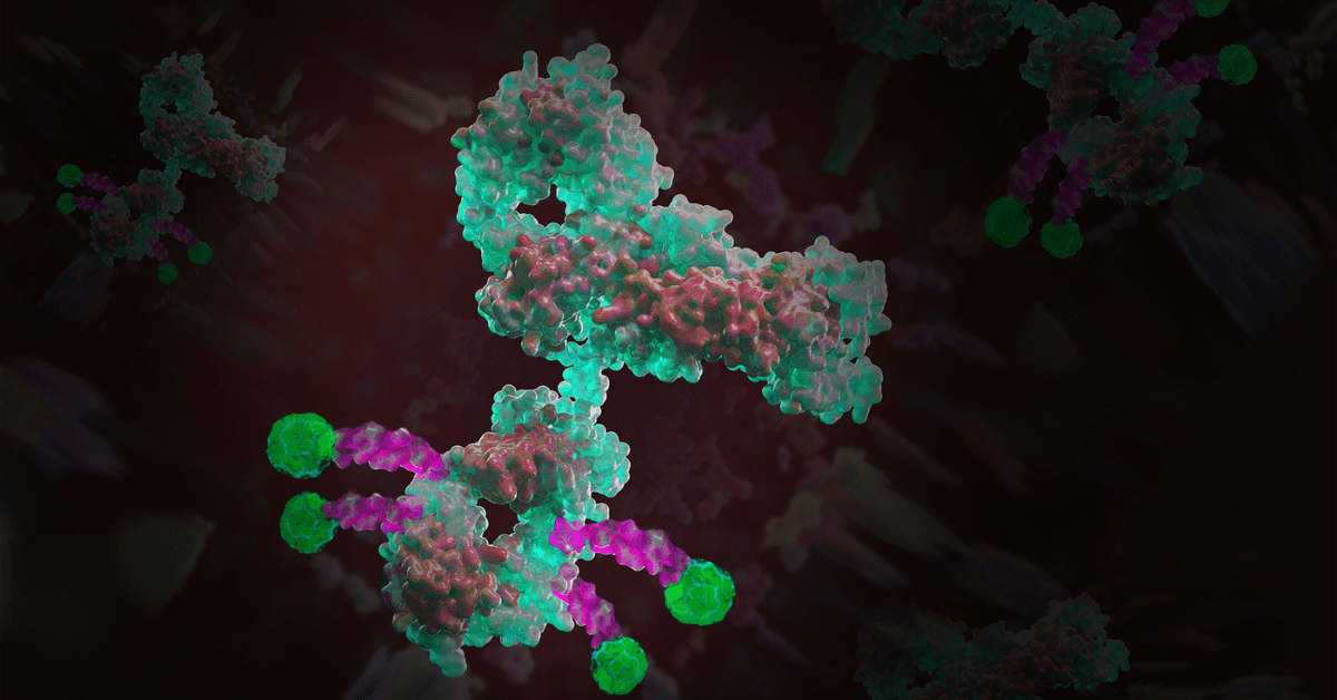 Antibody-drug conjugates: smart chemotherapeutics - BioTechniques
