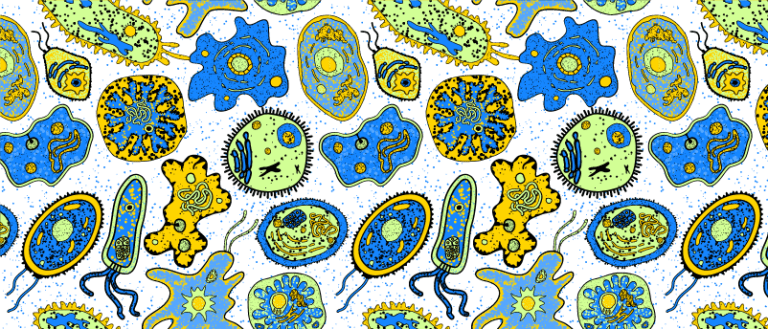 Microbiology: The Latest Discoveries - BioTechniques