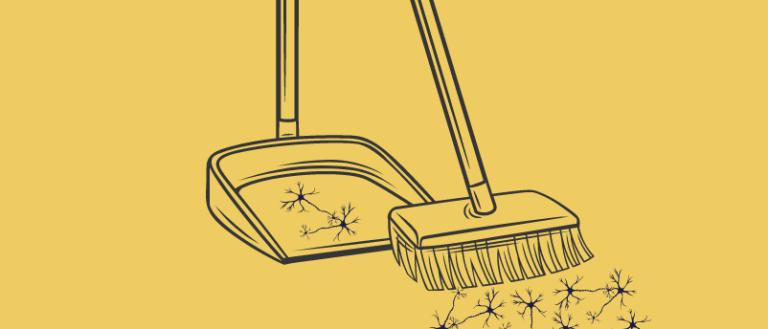 Synapse Loss During Sleep - BioTechniques