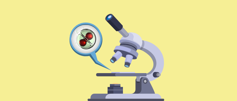 Studying Cell Division in Cancer Evolution - BioTechniques