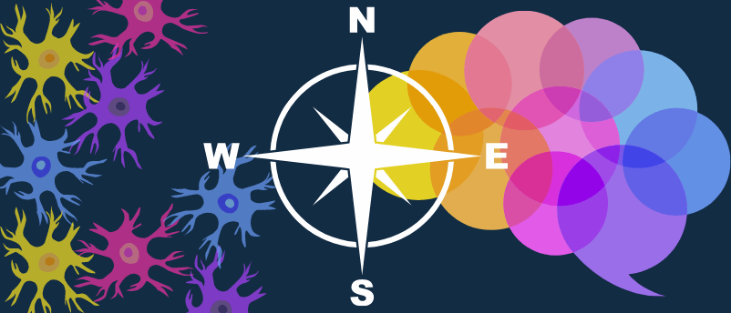 Encoding Orientation and Navigational Information - BioTechniques