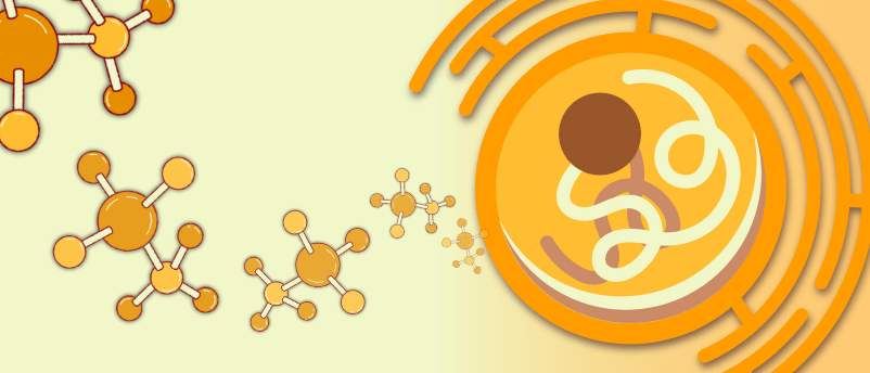 Softer Proteins Have Faster Nuclear Entry - BioTechniques