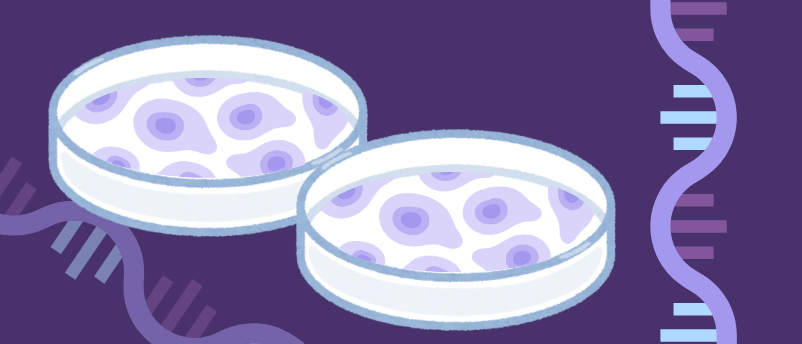 Disease Modeling with Human Stem Cells - BioTechniques