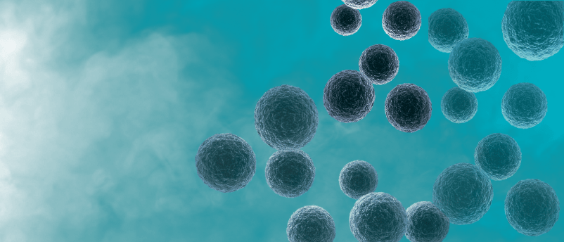 Cryopreserving Cell-Based Assays - BioTechniques