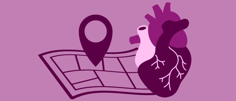 Mapping Cardiac Fibrosis Development - BioTechniques