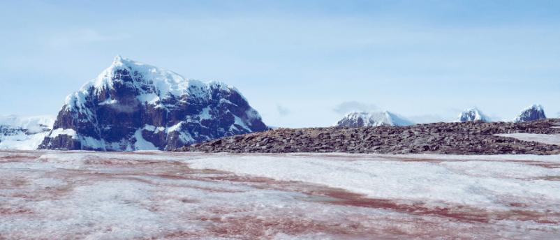 Giant Viruses Found on Algae Blooms in Arctic - BioTechniques