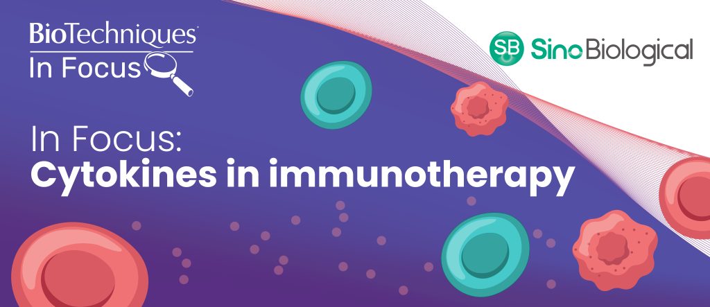 Cytokines In Immunotherapy - BioTechniques