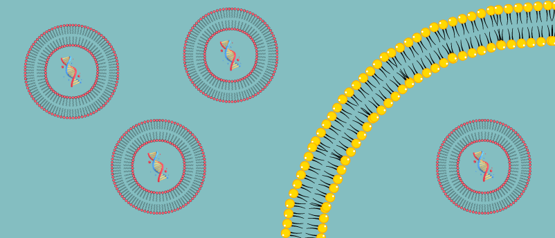 Transfection: Explained - BioTechniques