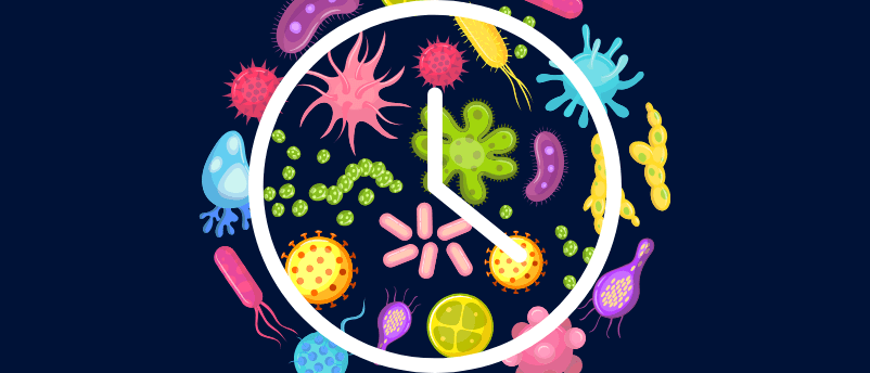 Mediterranean Diet and Cognition: Microbiome Link Revealed - BioTechniques