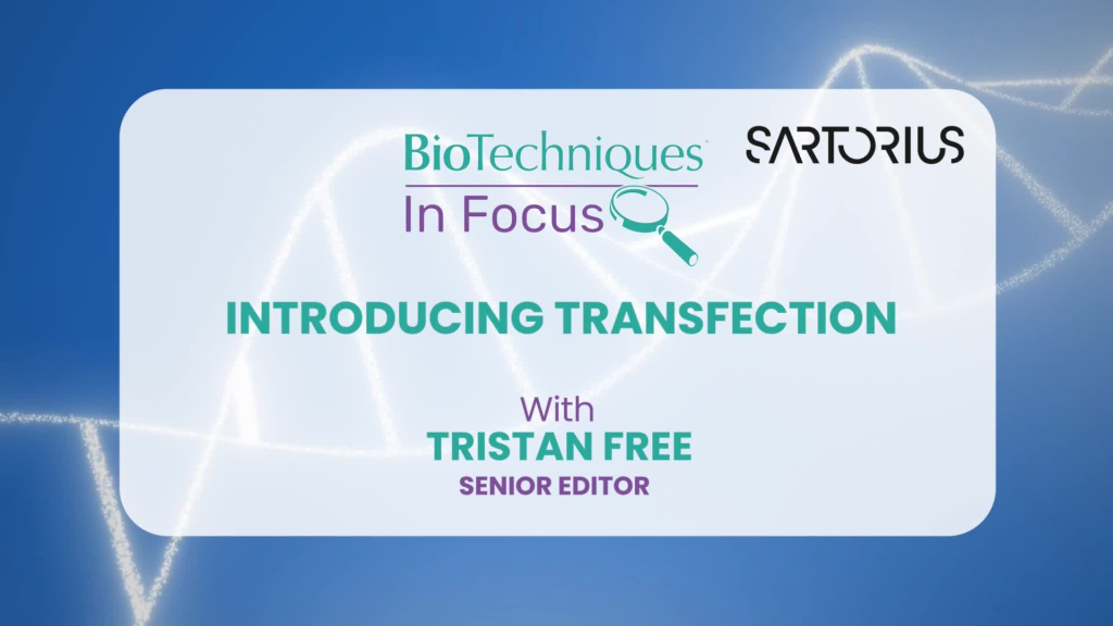Transfection: Explained - BioTechniques