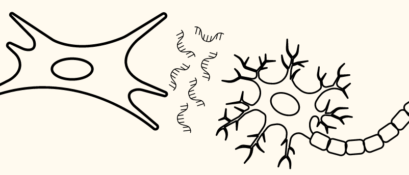 Novel Model for Late-Onset Alzheimer’s Disease - BioTechniques