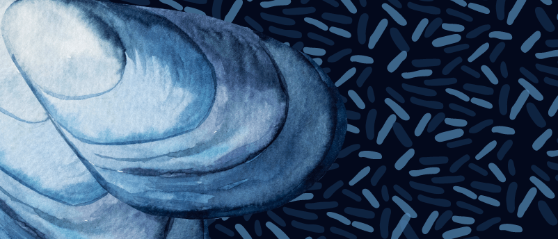 How Does an Intranuclear Parasite Function? - BioTechniques