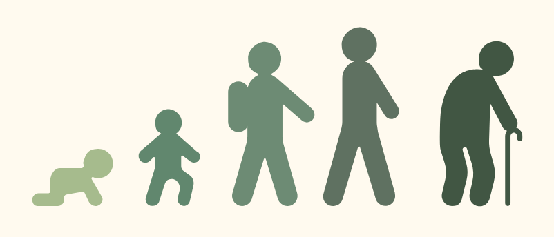 Spatial Map of Aging - BioTechniques