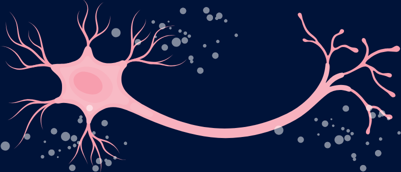 Peptide-Linked Lipid Nanoparticles Target Neurons - BioTechniques