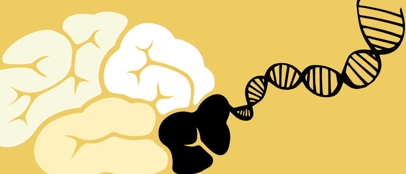 Novel Neurodevelopmental Transcriptional Enhancers - BioTechniques