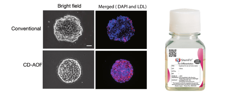 Defined stem cell media offers easy transition to clinical ...