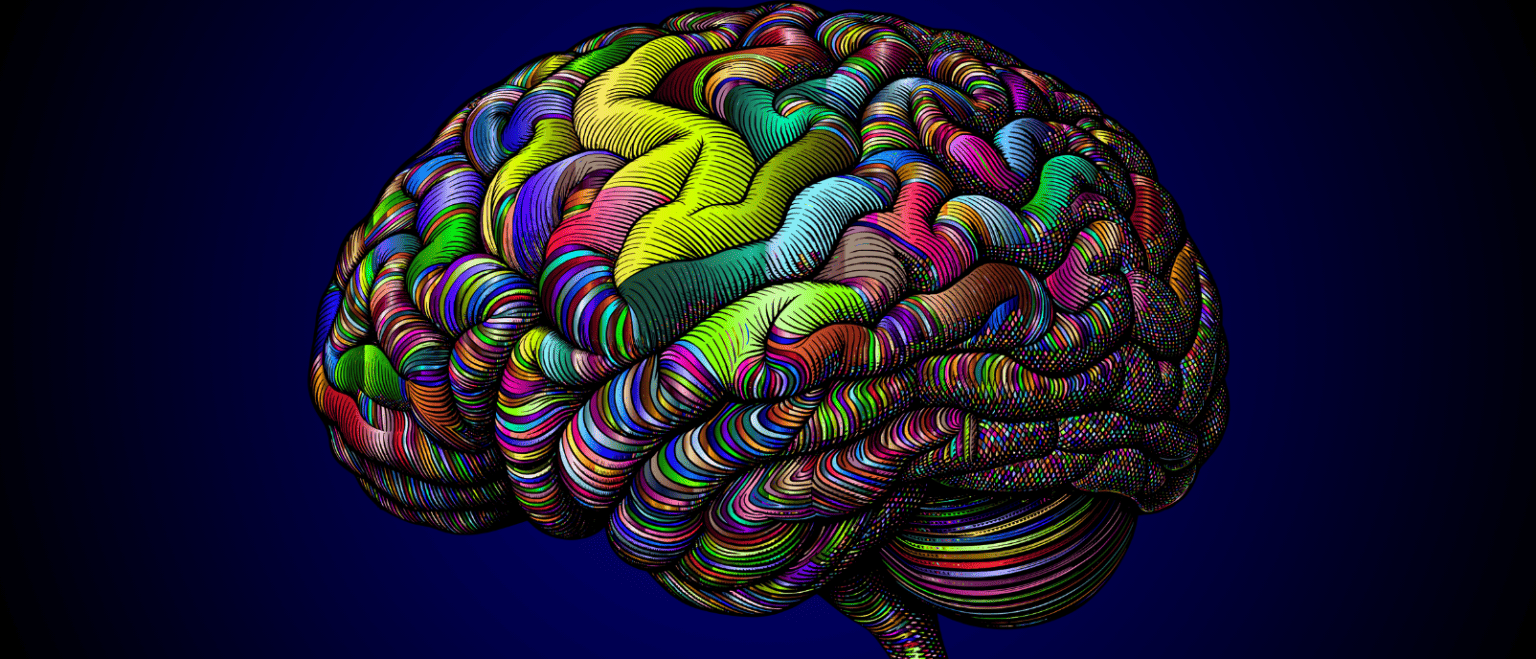 Gene Regulators Play Key Role in Sea Anemone Evolution - BioTechniques