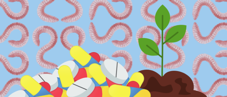 Vermicomposting Earthworms As Tool Against Antibiotic Resistance ...