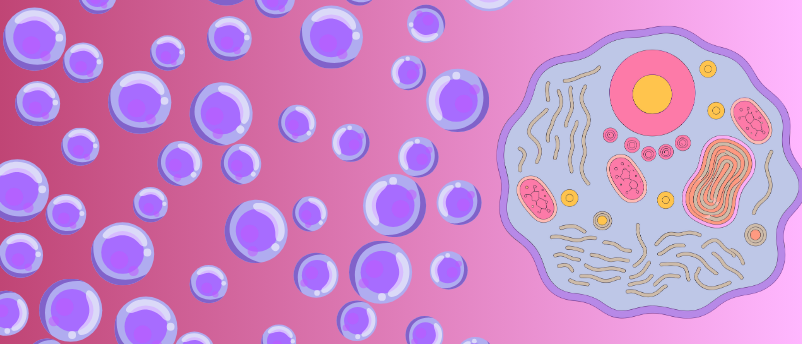 How Cells Detect Lysosomal Damage Revealed - BioTechniques