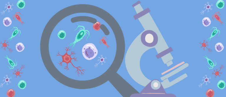 The Latest Microscopy Innovations and Applications - BioTechniques