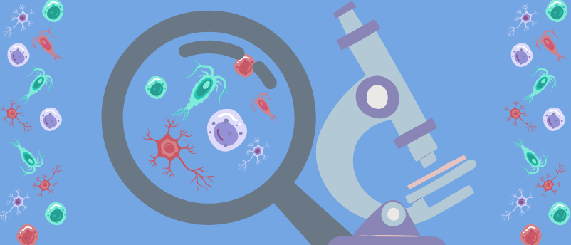 The Latest Microscopy Innovations and Applications - BioTechniques