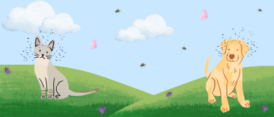 Antiparasitic Drugs For Pets May Pose Environmental Risk - BioTechniques