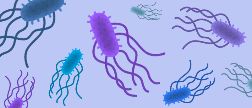 The Mechanism Underlying Bacterial Flagella Motion - BioTechniques