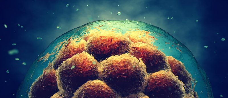 Organoids: a new model to study infectious diseases? - BioTechniques