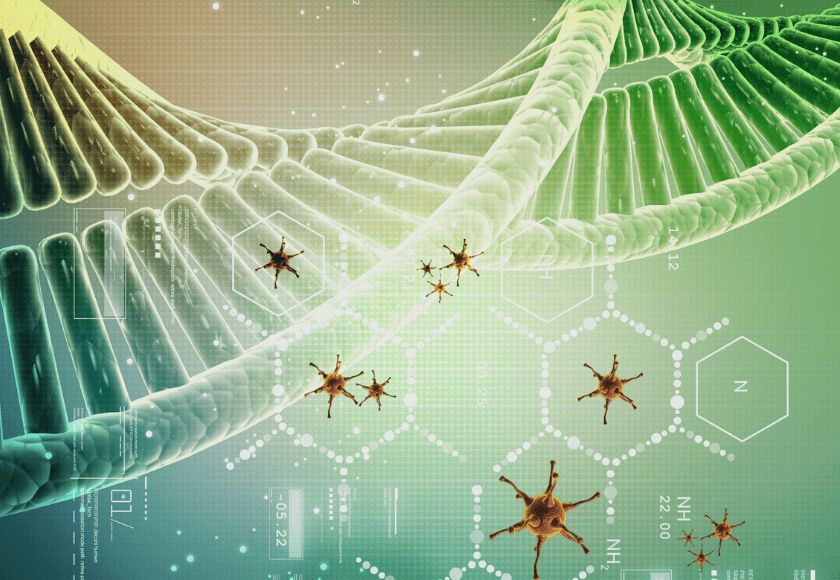 DNA biosensor developed in the form of an urchin-like nanocluster ...