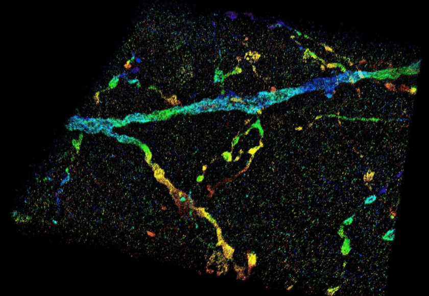 Imaging Technology Allows 3d Visualization Of Nanoscale Structures