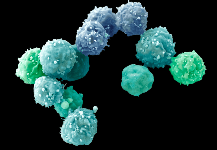 Nanofiber membranes transformed into 3D scaffolds for biomedical ...