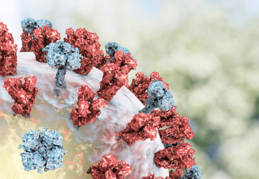 Using computer models to outsmart spike proteins in SARS-CoV-2 ...